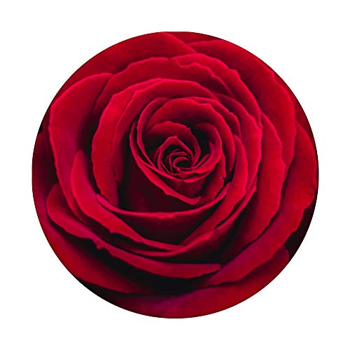 Red Rose Flower Floral PopSockets Swappable PopGrip