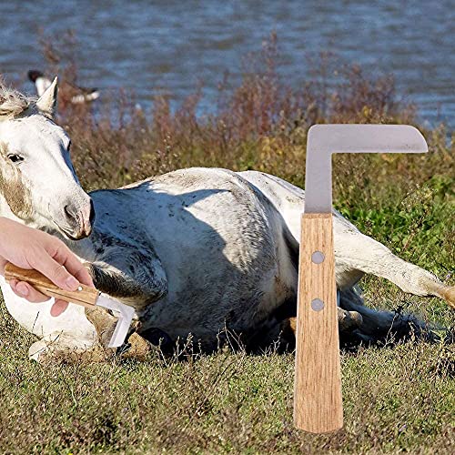 Yosoo Hoof Knife Straight Blade Left Right Handed Trimming Tool Horse Equipment for Cattle Horse Use