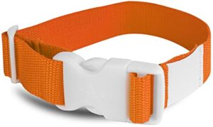 all star laundry strap - 12 pack (orange)