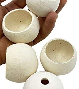 Bonka Bird Toys 3170 Pk6 Small Foraging Cup Bird Toy