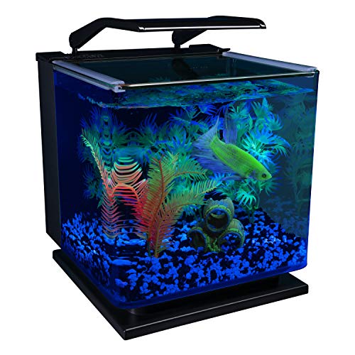 GloFish Betta Shadowbox Aquarium Kit