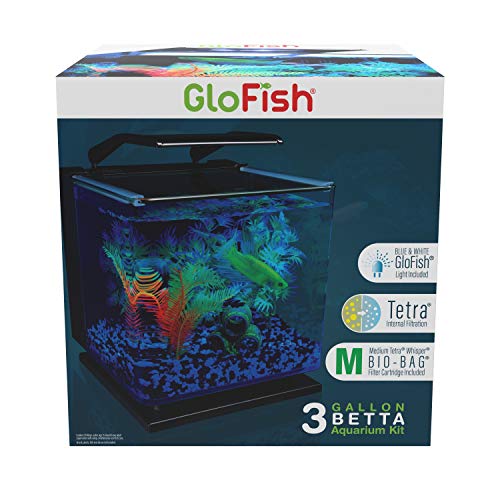 GloFish Betta Shadowbox Aquarium Kit