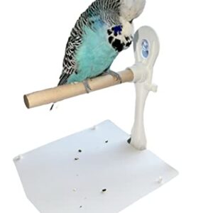 Stick On Bird Perch/Window Perch for Small - Medium Birds. (Has Removable Droppings Tray) Portable Shower Bird Perch Stand