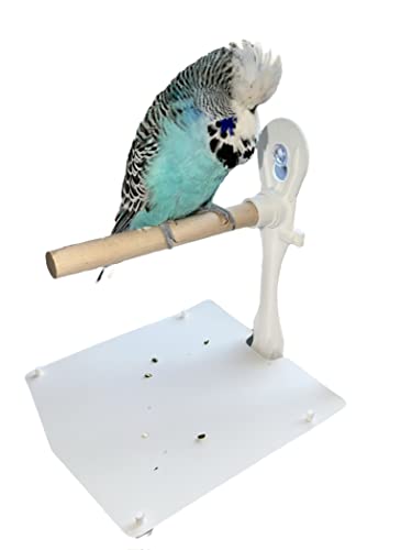 Stick On Bird Perch/Window Perch for Small - Medium Birds. (Has Removable Droppings Tray) Portable Shower Bird Perch Stand