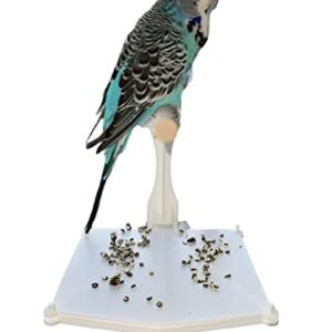 Stick On Bird Perch/Window Perch for Small - Medium Birds. (Has Removable Droppings Tray) Portable Shower Bird Perch Stand