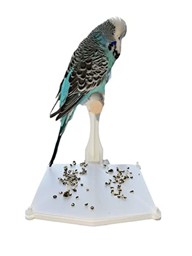 Stick On Bird Perch/Window Perch for Small - Medium Birds. (Has Removable Droppings Tray) Portable Shower Bird Perch Stand