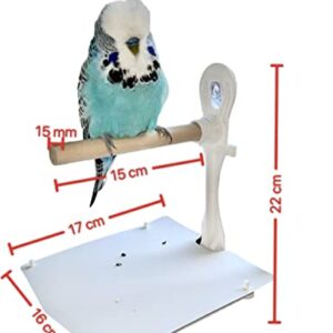 Stick On Bird Perch/Window Perch for Small - Medium Birds. (Has Removable Droppings Tray) Portable Shower Bird Perch Stand