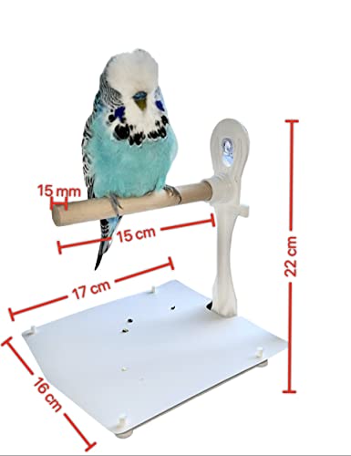 Stick On Bird Perch/Window Perch for Small - Medium Birds. (Has Removable Droppings Tray) Portable Shower Bird Perch Stand