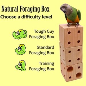 Natural Foraging Box Toy for Parrots (Tough Guy Foraging Box)