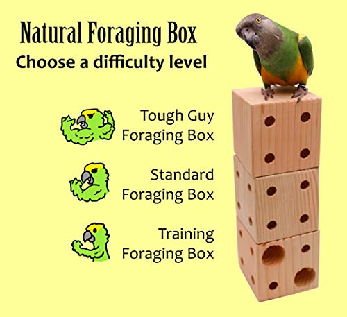 Natural Foraging Box Toy for Parrots (Tough Guy Foraging Box)