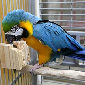 Natural Foraging Box Toy for Parrots (Tough Guy Foraging Box)