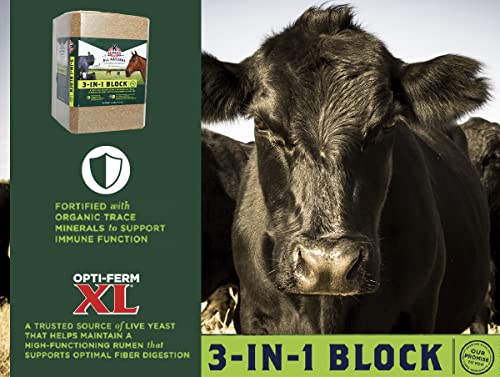 3 in 1 Block for Cattle and Horses, 40 lb