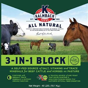 3 in 1 Block for Cattle and Horses, 40 lb