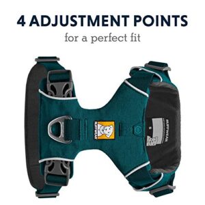 RUFFWEAR, Front Range Dog Harness, Reflective and Padded Harness for Training and Everyday, Tumalo Teal, Medium