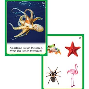 Super Duper Publications | Photo Similarities & Differences Fun Deck | Same & Different Describing Cards