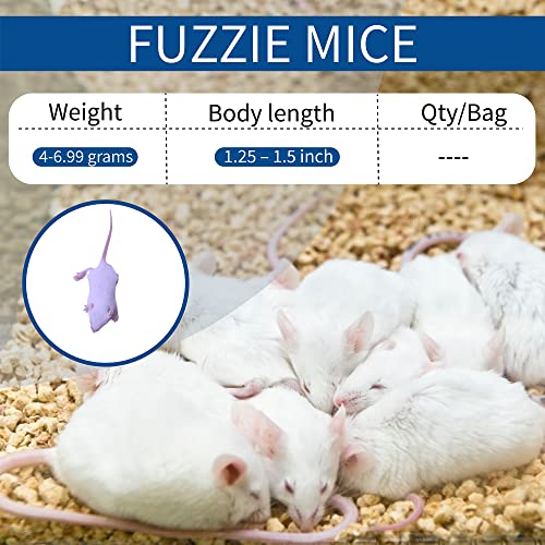 MiceDirect Frozen Fuzzie Feeder Mice Food for Juvenile Hognose, Corn & Milk Snakes (15 Count)