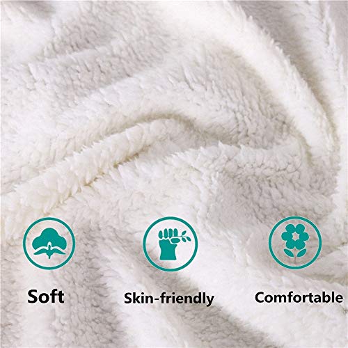 Ultra Soft 3D Printed Blanket Dachshund Dog Pattern Cozy Microfiber Plush Sherpa Blanket 2 Sizes Warm Fuzzy Throw Blanket for Kids and Adults Throws Blankets (Style01, 130cm x 150cm(51'' x 59''))