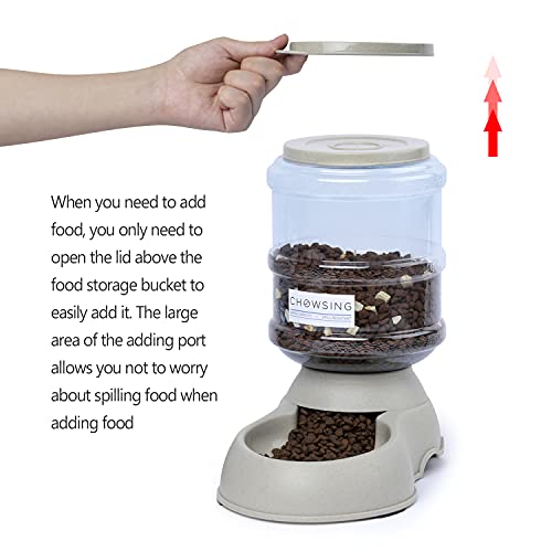 Nourse CHOWSING Automatic Cat Feeders and Waterer Dispenser 1 Gallon Capacity in Sets Gravity Replenishes Food and Water Suitable for Pets Such as Cats and Dogs