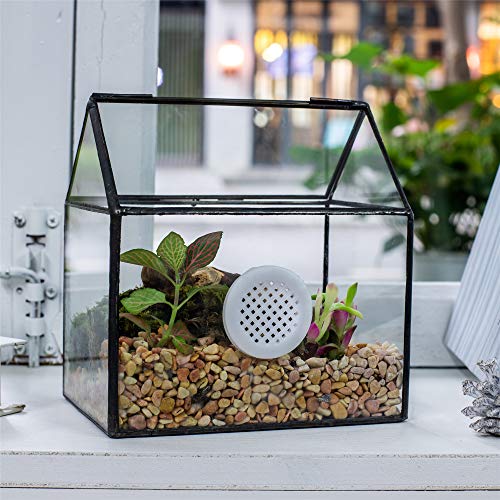 NCYP Small Glass Terrarium with lid for Air Plants Moss Succulent, Handmade Geometric House Shape Close Glass Box for Snail Reptile Habitat, Tabletop DIY Display Container (Glass Box Only) Black