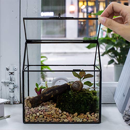 NCYP Small Glass Terrarium with lid for Air Plants Moss Succulent, Handmade Geometric House Shape Close Glass Box for Snail Reptile Habitat, Tabletop DIY Display Container (Glass Box Only) Black