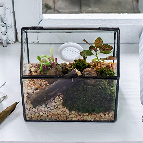 NCYP Small Glass Terrarium with lid for Air Plants Moss Succulent, Handmade Geometric House Shape Close Glass Box for Snail Reptile Habitat, Tabletop DIY Display Container (Glass Box Only) Black