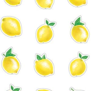 Teacher Created Resources Lemon Zest Mini Accents (TCR8481)