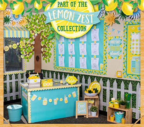 Teacher Created Resources Lemon Zest Mini Accents (TCR8481)