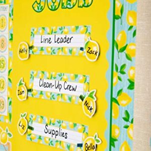 Teacher Created Resources Lemon Zest Mini Accents (TCR8481)