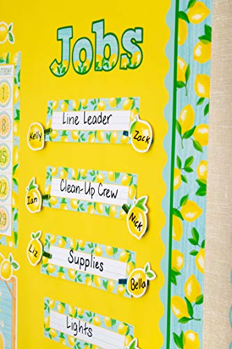 Teacher Created Resources Lemon Zest Mini Accents (TCR8481)