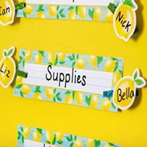 Teacher Created Resources Lemon Zest Mini Accents (TCR8481)