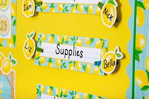 Teacher Created Resources Lemon Zest Mini Accents (TCR8481)