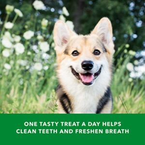 Amazon Brand - Wag Dog Dental Chews - Green Brush - Large Dogs (50 - 100 lb), 36Oz, 24 Count