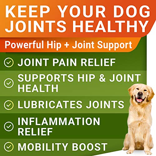 Glucosamine Treats for Dogs - Joint Supplement w/ Omega-3 Fish Oil - Chondroitin, MSM - Advanced Mobility Chews - Joint Pain Relief - Hip & Joint Care - Chicken Flavor - 120 Ct - Made in USA