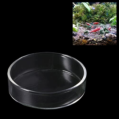 Ailindany 60MM Round Aquarium Glass Shrimp Feeding Dish Bowls Reptiles Water Food Dish Feeder Bowl