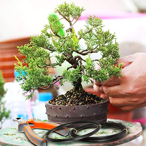 5 Roll Aluminum Bonsai Training Wire Tree 160 Feet Total with Bonsai Wire Cutter Anodized Wire 1/1.5/2.0 mm Training Wire for Holding Bonsai Branches Small Trunks