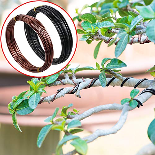 5 Roll Aluminum Bonsai Training Wire Tree 160 Feet Total with Bonsai Wire Cutter Anodized Wire 1/1.5/2.0 mm Training Wire for Holding Bonsai Branches Small Trunks