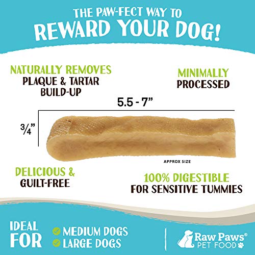 Raw Paws Himalayan Yak Chews for Large Dogs - Large Chews (3-Count) - Himalayan Cheese for Large Dogs - Yak Bones for Dogs - Yak Milk Bones for Dogs - Dog Cheese Chews Himalayan