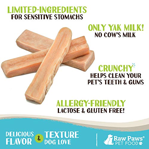 Raw Paws Himalayan Yak Chews for Large Dogs - Large Chews (3-Count) - Himalayan Cheese for Large Dogs - Yak Bones for Dogs - Yak Milk Bones for Dogs - Dog Cheese Chews Himalayan