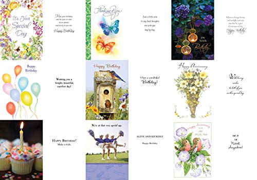 Variety Boxed Greeting Card Assortment by Fravessi | 36 Card Pack + 36 White Envelopes (4x6) | Humorous