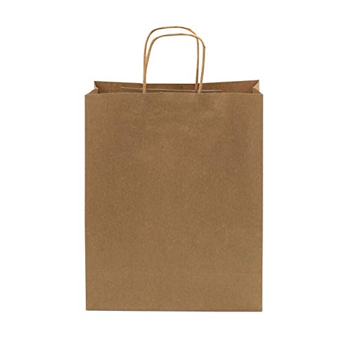 Brown Gift Bags with Handles - 10x5x13 Inch 100 Pack Medium Kraft Paper Shopping Bags, Craft Totes in Bulk for Boutiques, Small Business, Retail Stores, Birthdays, Party Favors, Jewelry, Merchandise