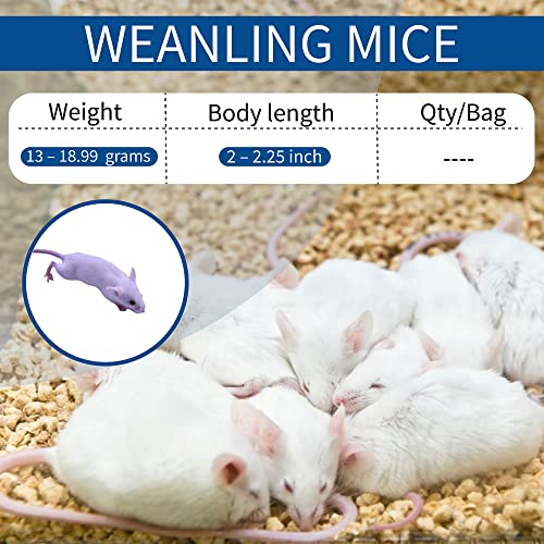 MiceDirect Frozen Weanling Mice Feeders Juvenile Ball Python Adult Corn (15 Count)