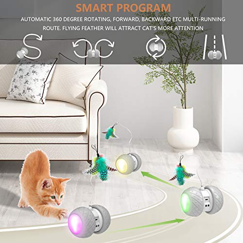 BENTOPAL Automatic Cat Toys Interactive Pet Exercise Electric Toys for Indoor Cats / Kitten with Feather (Auto Cat Toy)