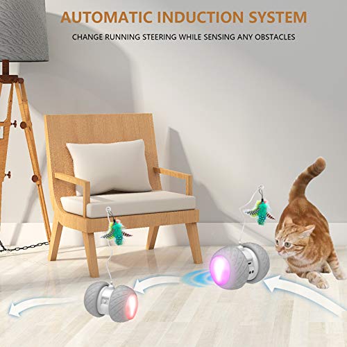 BENTOPAL Automatic Cat Toys Interactive Pet Exercise Electric Toys for Indoor Cats / Kitten with Feather (Auto Cat Toy)