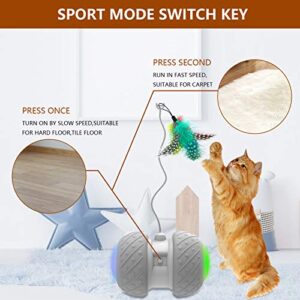 BENTOPAL Automatic Cat Toys Interactive Pet Exercise Electric Toys for Indoor Cats / Kitten with Feather (Auto Cat Toy)