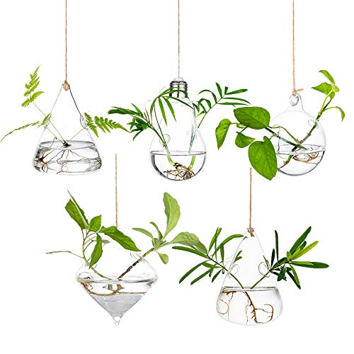 Hanging Glass Planter Plant Terrarium, 5Pcs Glasseam Propagation Stations for Plants Modern Propogation Station Wall Vase Planters Hydroponic Vases for Air Plant Flowers Indoor Window Home Decor