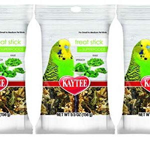 Kaytee 6 Pack of Birid Treat Sticks with Superfoods, Small to Medium, with Spinach and Kale