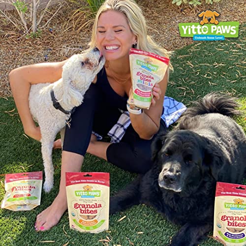 Yitto Paws Organic Puppy Treats - Healthy Dog Training Treats, All Natural Dog Biscuits for Small Dogs Puppies & Training, Mini Peanut Butter Snacks Made in USA, Human Grade Low Calorie Cookies