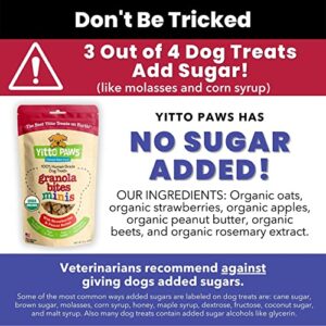 Yitto Paws Organic Puppy Treats - Healthy Dog Training Treats, All Natural Dog Biscuits for Small Dogs Puppies & Training, Mini Peanut Butter Snacks Made in USA, Human Grade Low Calorie Cookies