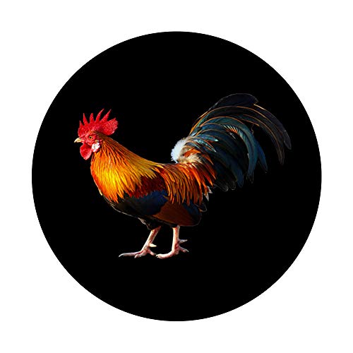 Rooster Country Decor Chicken Gallo Rooster PopSockets Swappable PopGrip