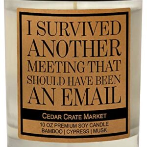 I Survived Another Meeting That Should Have Been An Email - Funny Candles Gift for Women, Men, Funny Gift for Coworkers, Boss, Friendship Gifts, Work from Home Gift, Boss Lady Gifts for Women, Besties